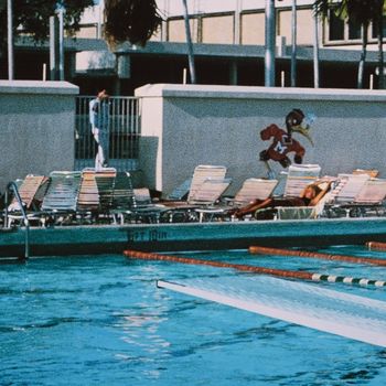 Helmut Newton "Swimming Pool" | Poster | Poster | Reliving